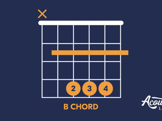 Bm Chord for Beginners [Exercises and EASIER Versions] - Acoustic Life