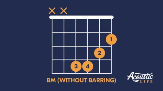 Bm Chord for Beginners [Exercises and EASIER Versions] - Acoustic Life